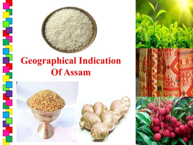 GI of ASSAM, INDIA | PPTX