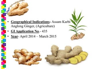 GI of ASSAM, INDIA | PPTX