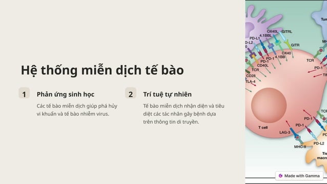 Gioi-thieu-ve-co-che-mien-dich.pptx.khtn