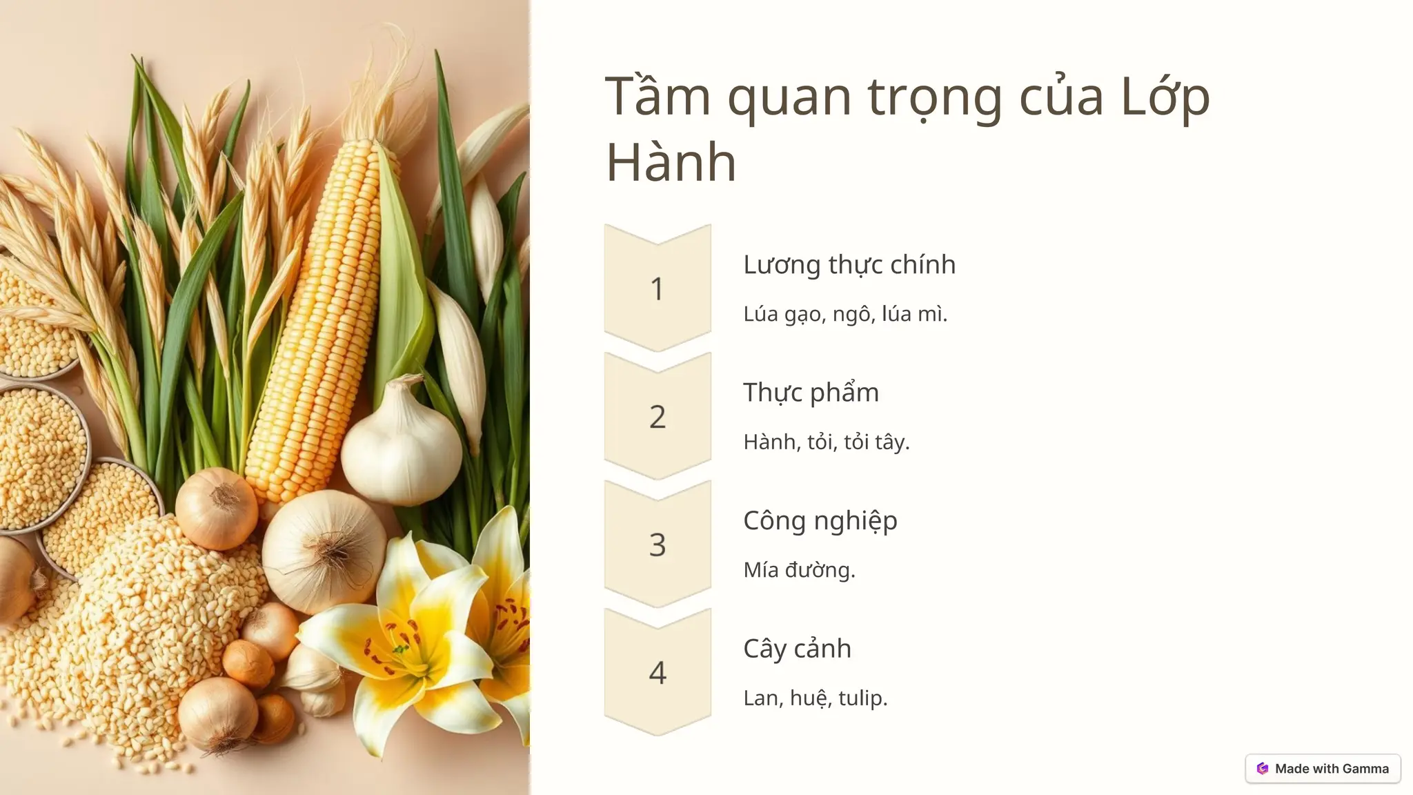 Gioi-thieu-ve-Lop-Ngoc-Lan-va-Lop-Hanh tổ 4.ppt