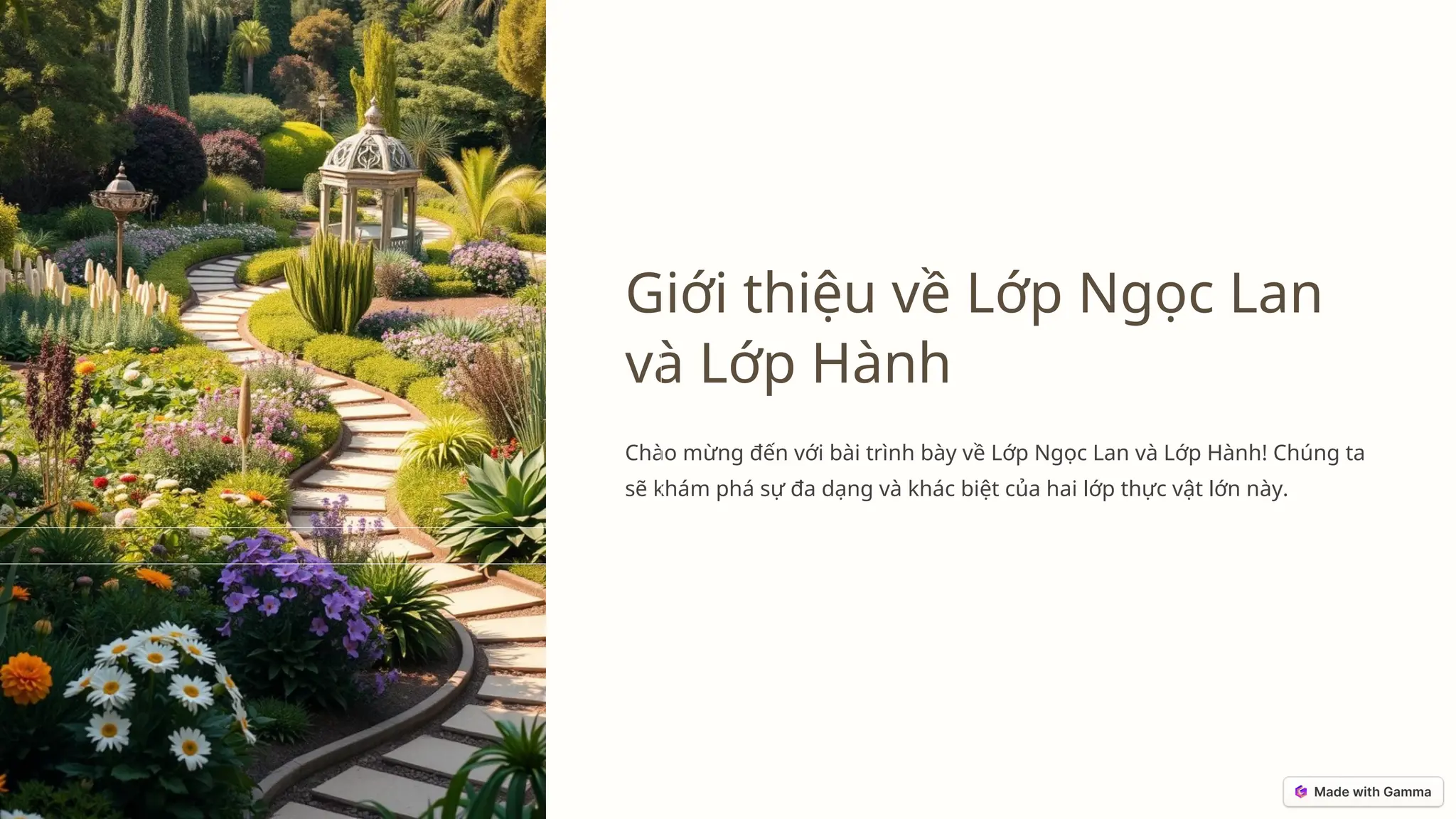Gioi-thieu-ve-Lop-Ngoc-Lan-va-Lop-Hanh tổ 4.ppt