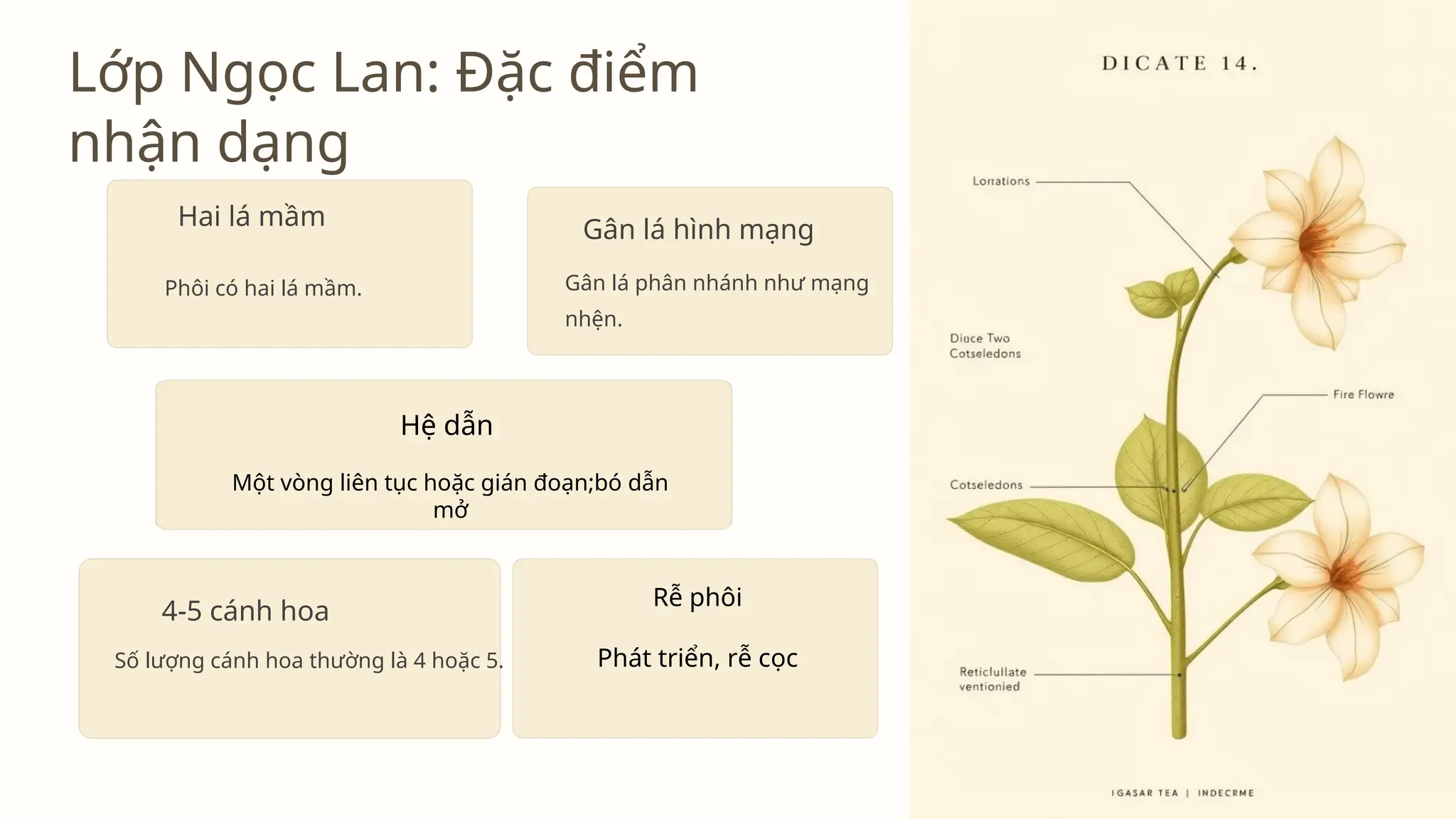 Gioi-thieu-ve-Lop-Ngoc-Lan-va-Lop-Hanh tổ 4.ppt