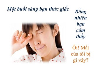 Gioithieu baiday | PPTX