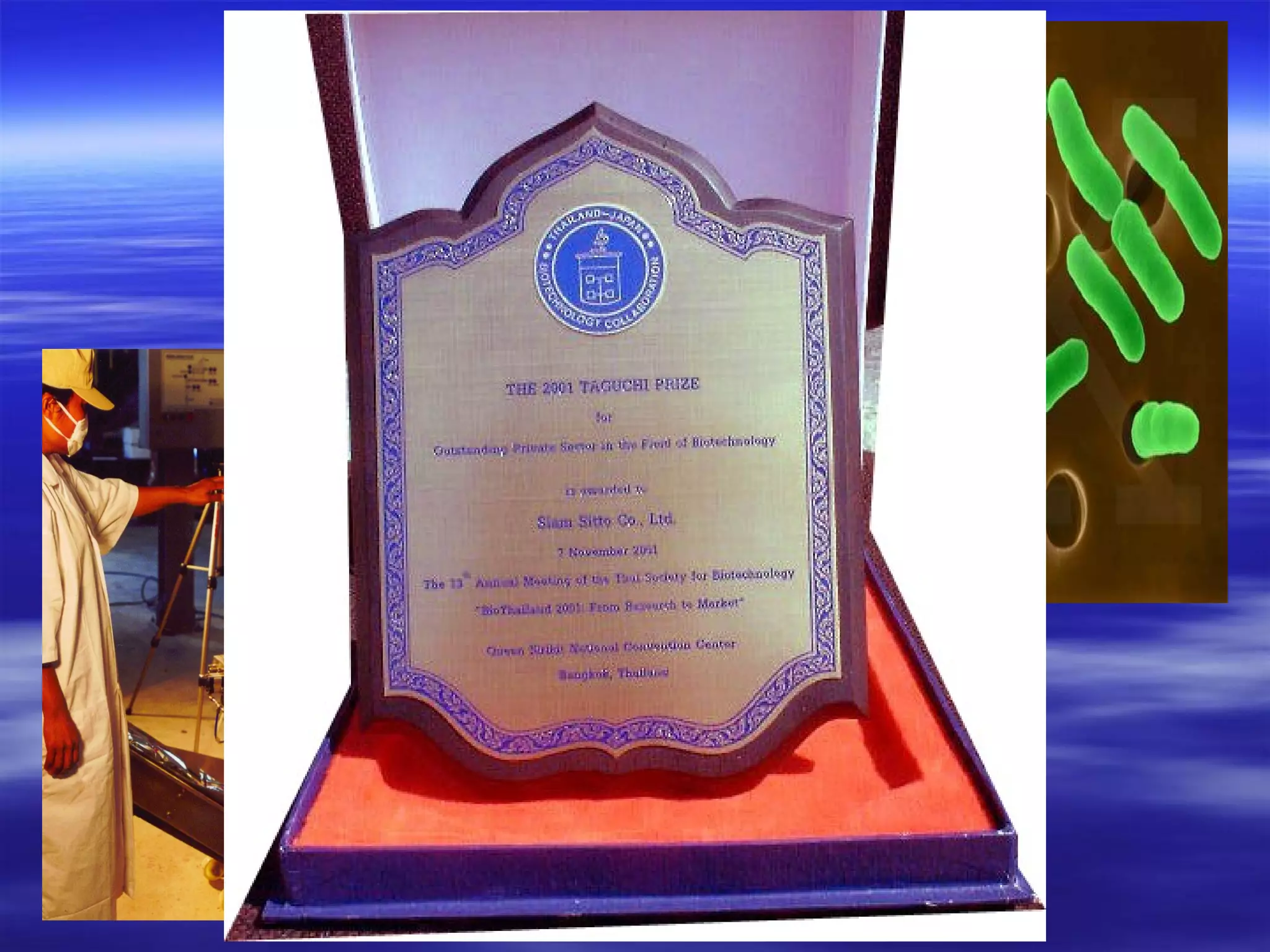 Gioi thieu sitto group (vn) | PPT