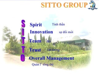 Gioi thieu sitto group (vn) | PPT