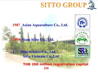 Gioi thieu sitto group (vn) | PPT