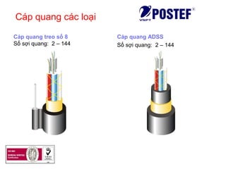 Cong Nghe Postef | PPT