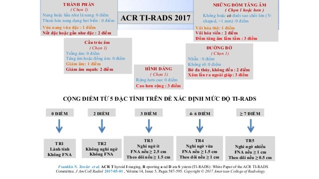 Giới thiệu các hệ thống TI-RADS 2017