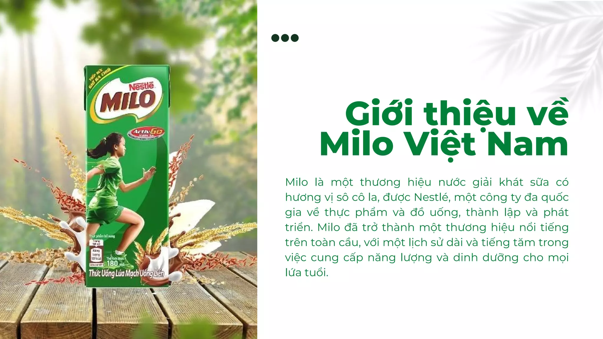 Giới thiệu về Milo Việt Nam - Đinh Lê Hoàng Ngọc - Enter Design - Học ...