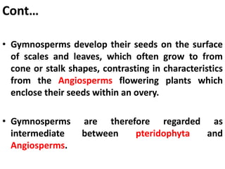 Giologicale rise and fall of gymnosperm | PPTX