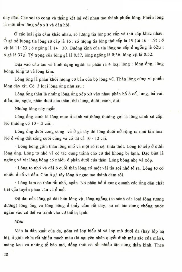Giáo trình chăn nuôi gia cầm - Nguyễn Duy Hoan.pdf