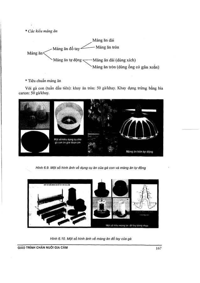 Giáo trình chăn nuôi gia cầm - Nguyễn Duy Hoan;Nguyễn Thị Thúy Mỵ;Trần ...