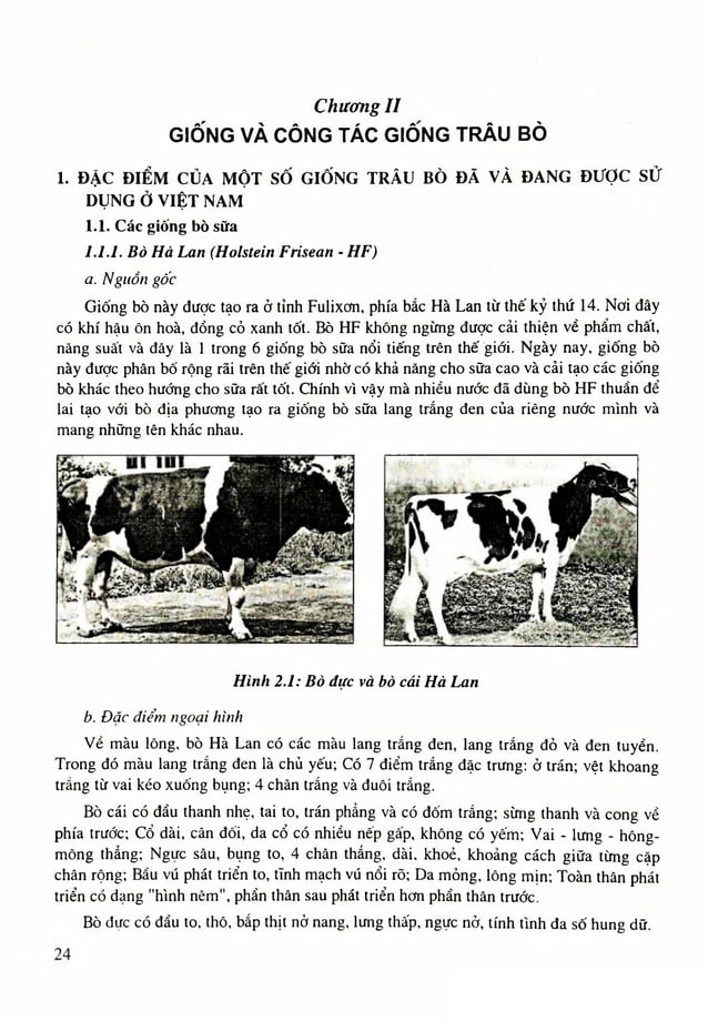 Giáo trình chăn nuôi trâu bò - Nguyễn Văn Bình;Trần Văn Tường.pdf