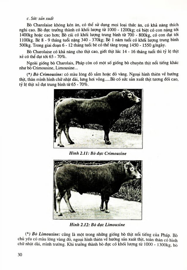 Giáo trình chăn nuôi trâu bò - Nguyễn Văn Bình;Trần Văn Tường.pdf