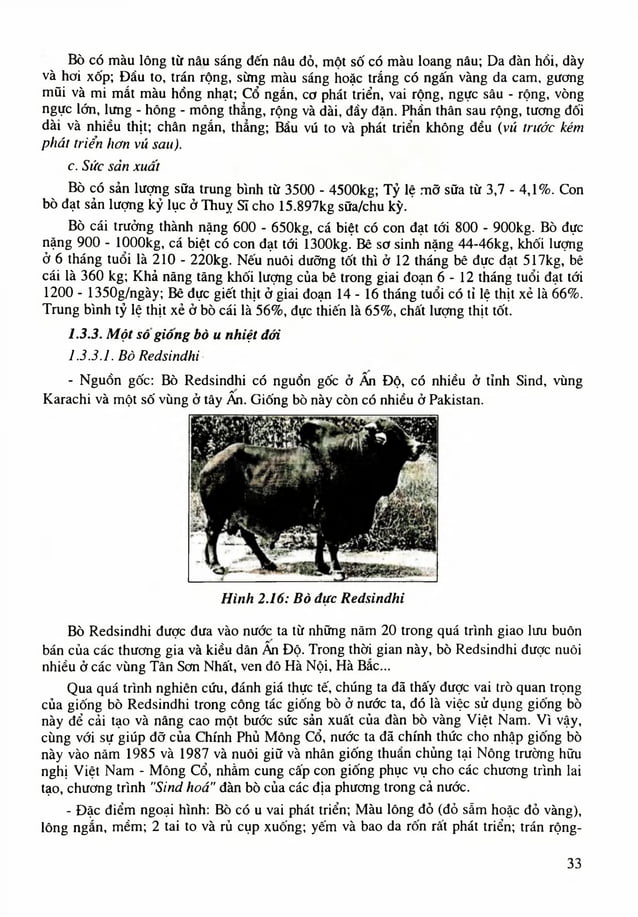 Giáo trình chăn nuôi trâu bò - Nguyễn Văn Bình;Trần Văn Tường.pdf