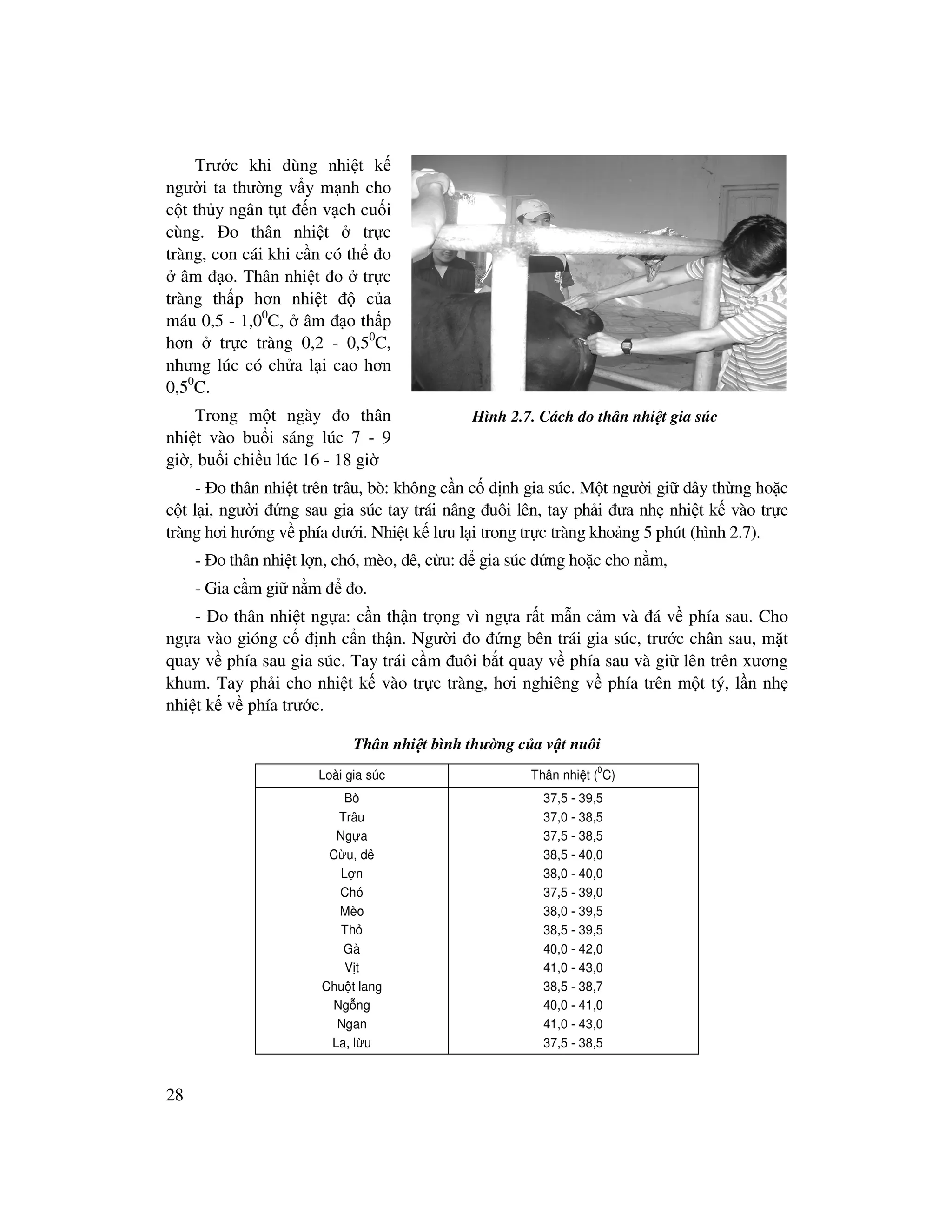 Giáo trình Chấn đoán và nội khoa thú y, Phạm Ngọc Thạch.pdf