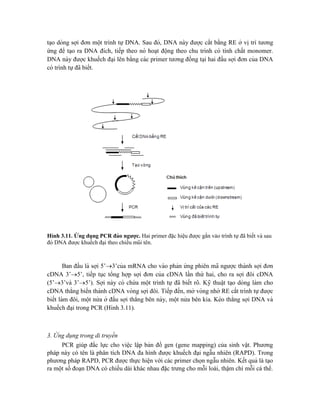 Giáo trình công nghệ DNA tái tổ hợp.pdf