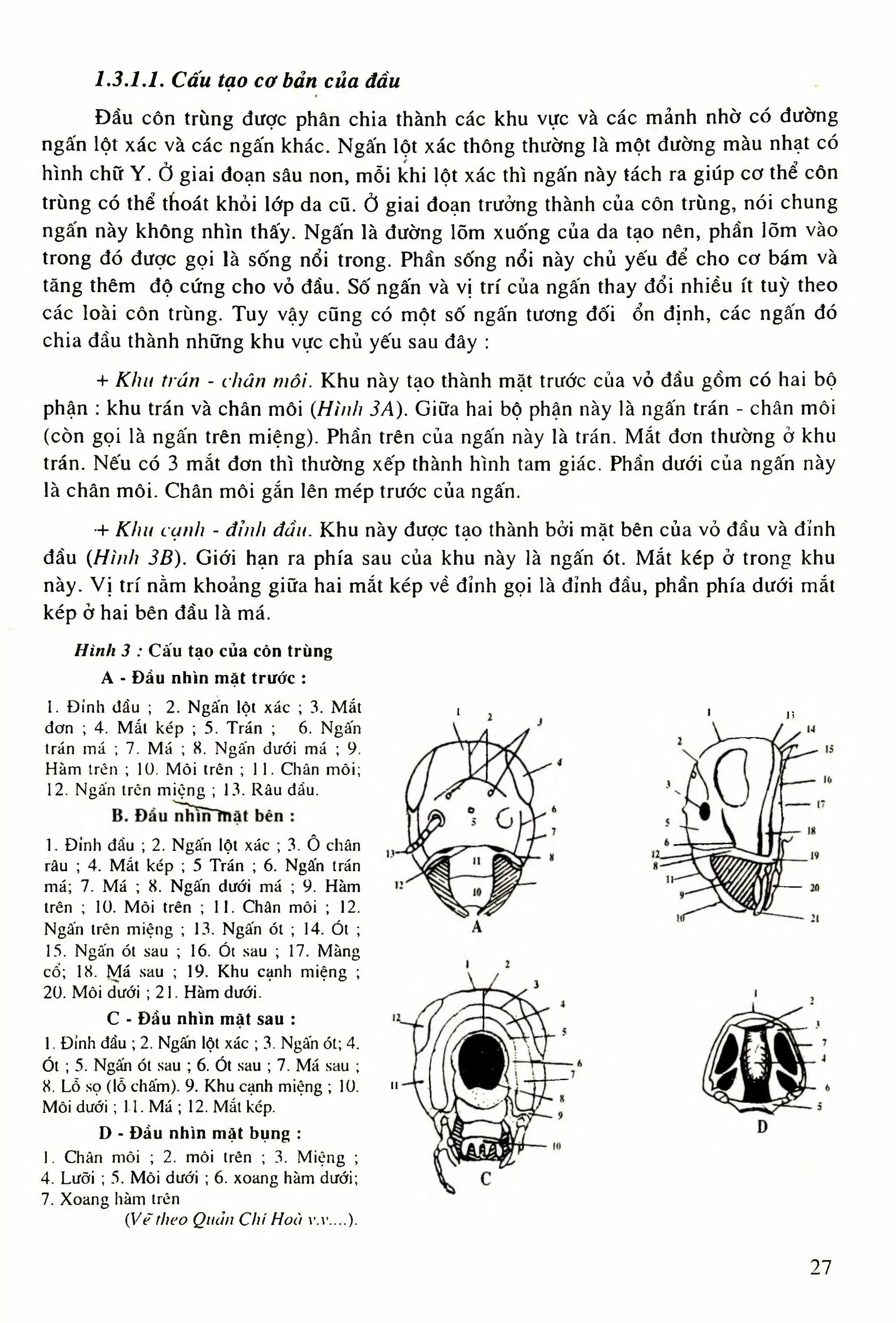 Giáo trình côn trùng nông nghiệp. Phần I Côn trùng đại cương - Hoàng ...