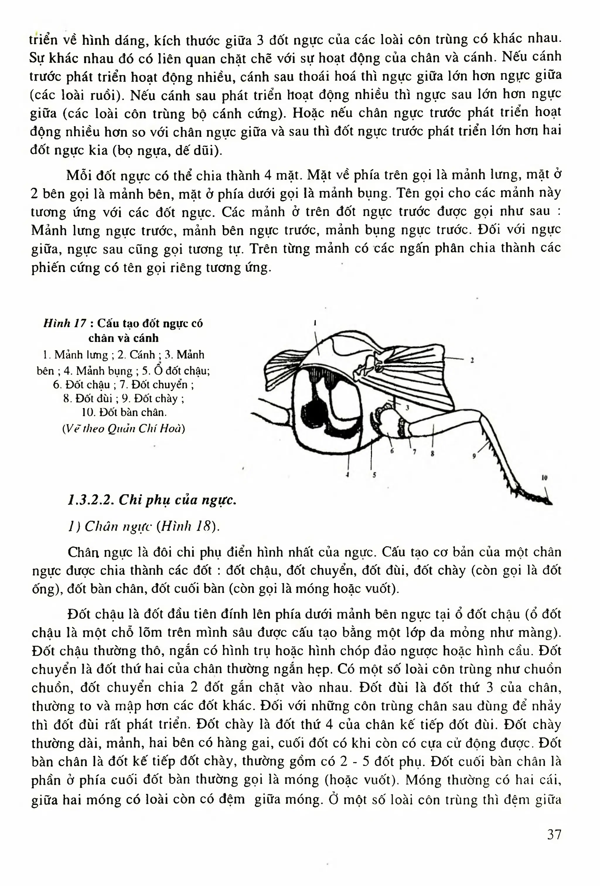 Giáo trình côn trùng nông nghiệp. Phần I Côn trùng đại cương - Hoàng ...