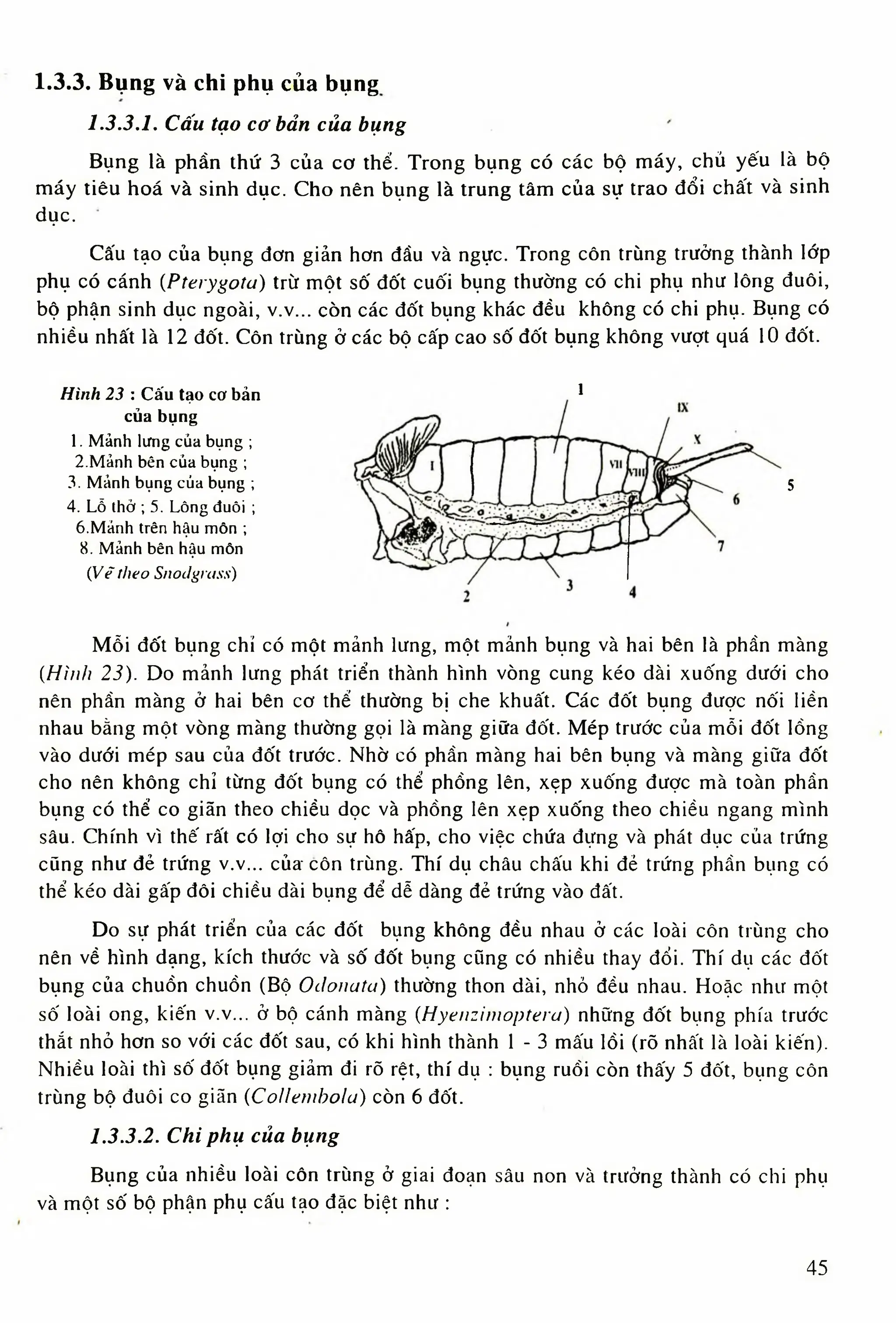 Giáo trình côn trùng nông nghiệp. Phần I Côn trùng đại cương - Hoàng ...