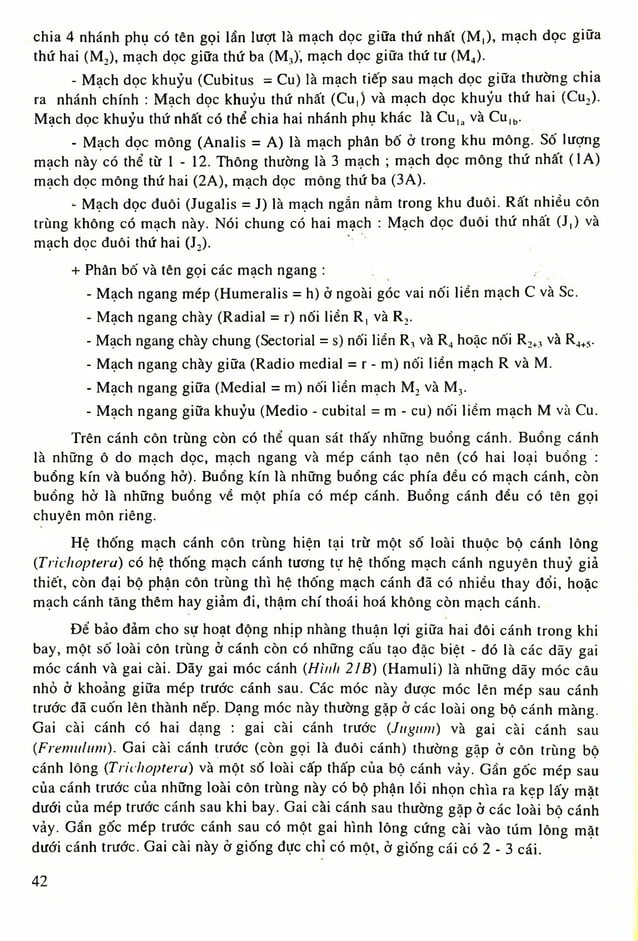 Giáo trình côn trùng nông nghiệp. Phần I Côn trùng đại cương - Hoàng ...