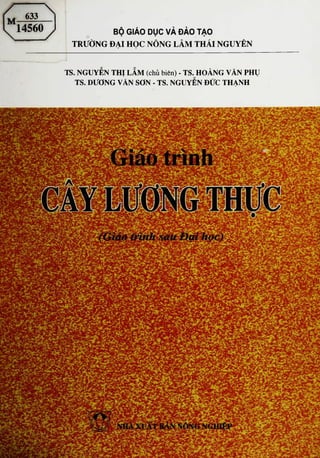 Giáo trình cây lương thực (Giáo trình sau Đại học) - Dương Văn Sơn ...