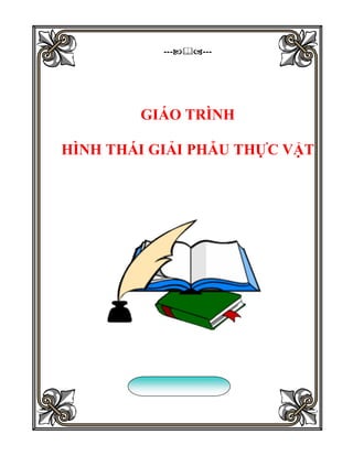 Giáo trình hình thái giải phẫu thực vật - Nguyễn Khoa Lân (Chủ biên ...
