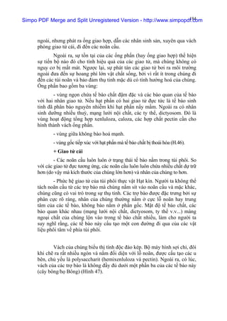 Giáo trình hình thái giải phẫu thực vật - Nguyễn Khoa Lân (Chủ biên);Nguyễn Như Đối.pdf