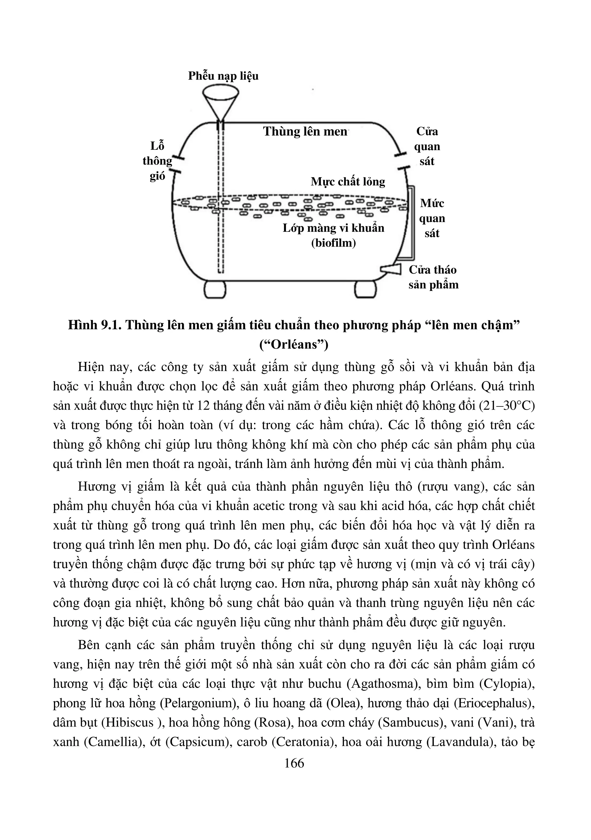 GIÁO TRÌNH KỸ THUẬT LÊN MEN THỰC PHẨM - 2022 (TRƯỜNG ĐẠI HỌC NÔNG LÂM ...