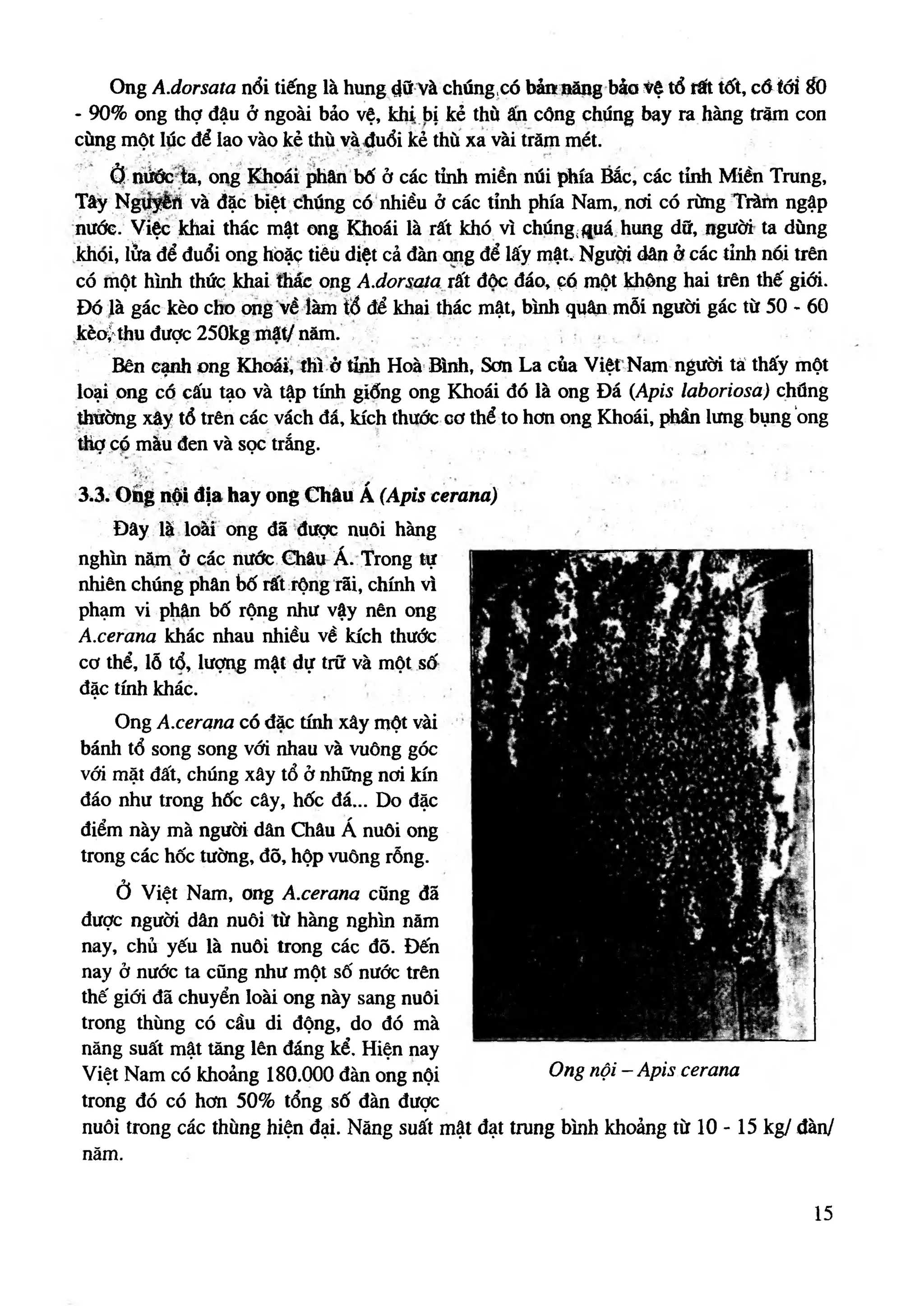 Giáo trình kỹ thuật nuôi ong mật - Ngô Nhật Thắng;Nguyễn Duy Hoan;Phùng Đức Hoàn.pdf