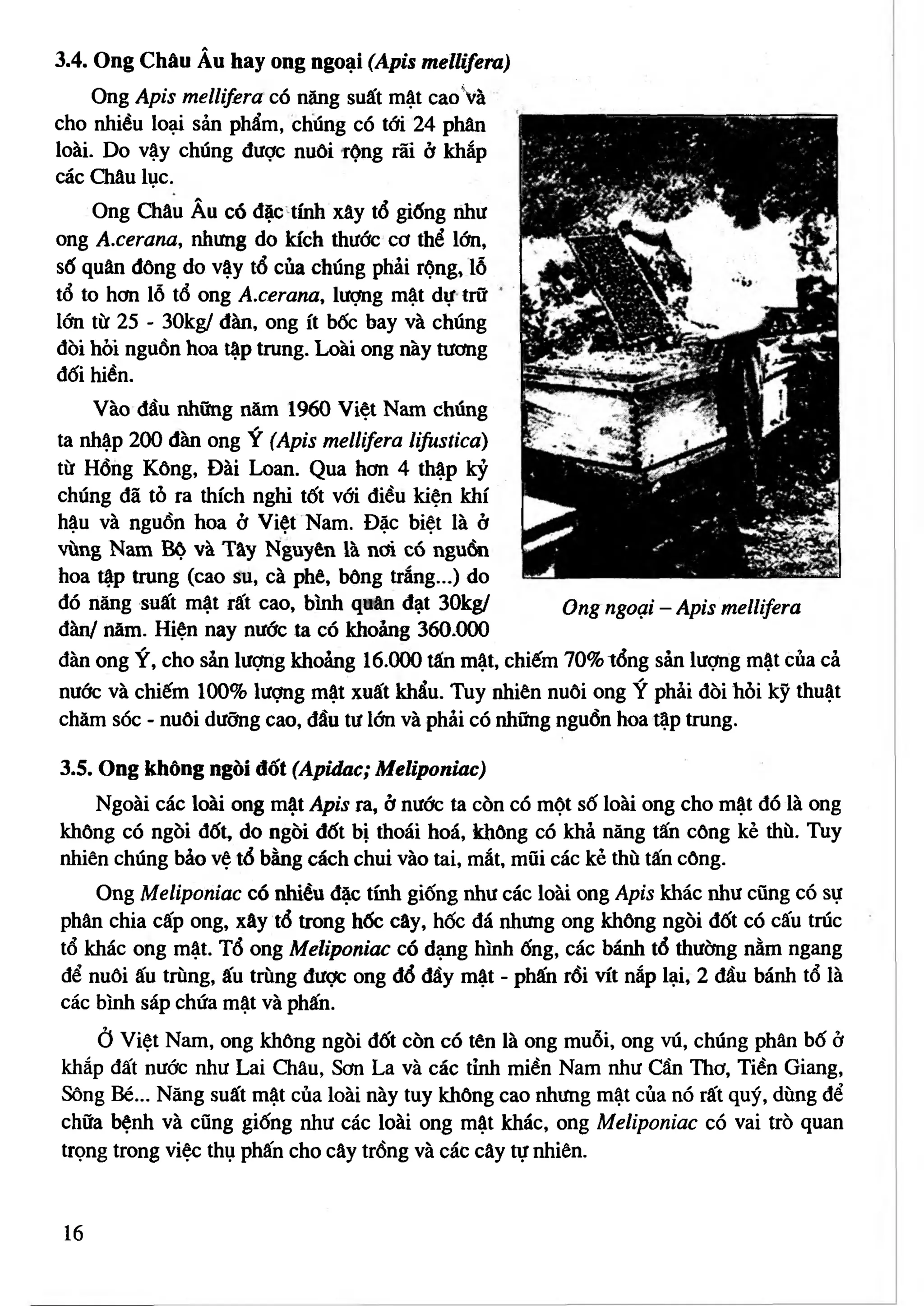 Giáo trình kỹ thuật nuôi ong mật - Ngô Nhật Thắng;Nguyễn Duy Hoan;Phùng Đức Hoàn.pdf