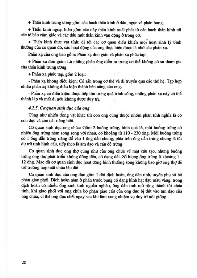Giáo trình kỹ thuật nuôi ong mật - Ngô Nhật Thắng;Nguyễn Duy Hoan;Phùng Đức Hoàn.pdf