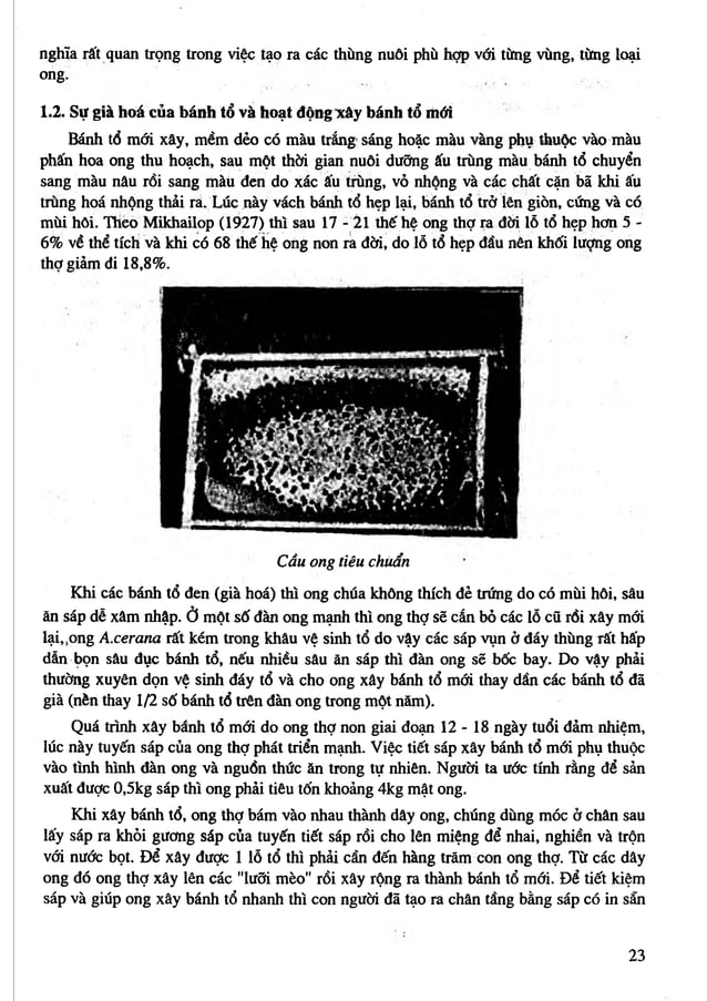Giáo trình kỹ thuật nuôi ong mật - Ngô Nhật Thắng;Nguyễn Duy Hoan;Phùng Đức Hoàn.pdf