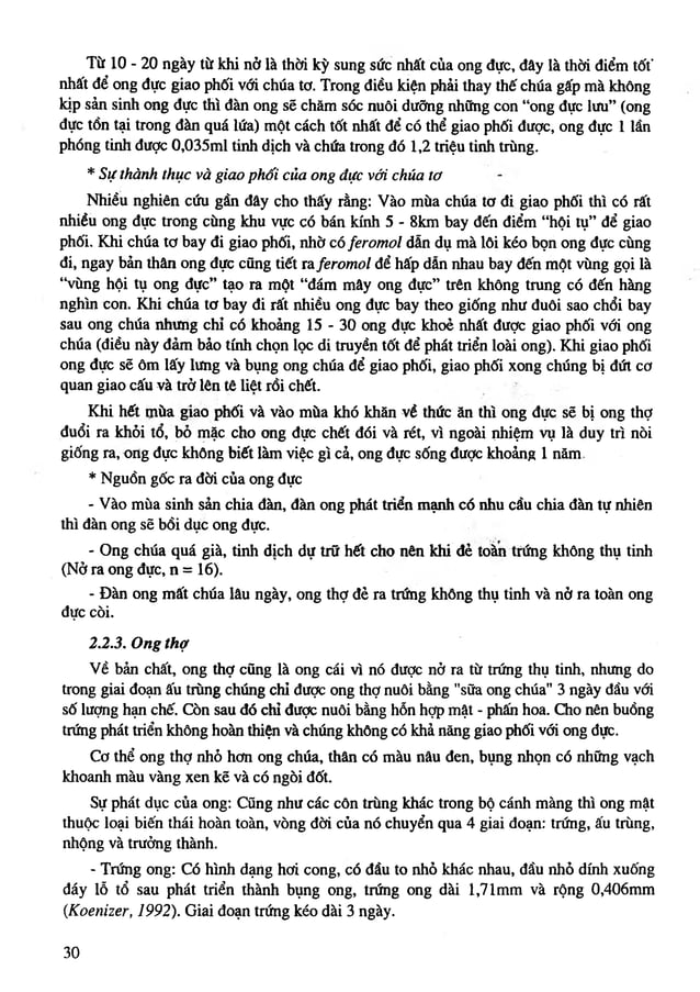 Giáo trình kỹ thuật nuôi ong mật - Ngô Nhật Thắng;Nguyễn Duy Hoan;Phùng Đức Hoàn.pdf