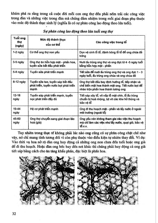 Giáo trình kỹ thuật nuôi ong mật - Ngô Nhật Thắng;Nguyễn Duy Hoan;Phùng Đức Hoàn.pdf