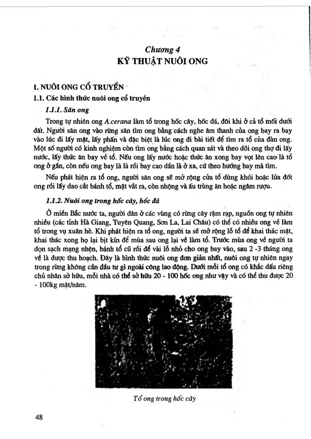 Giáo trình kỹ thuật nuôi ong mật - Ngô Nhật Thắng;Nguyễn Duy Hoan;Phùng Đức Hoàn.pdf