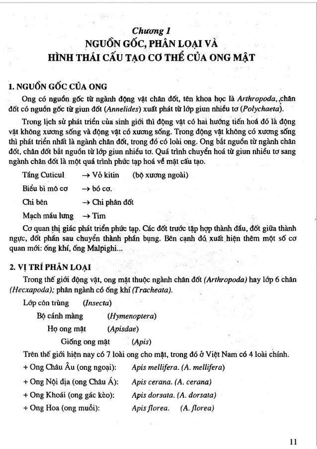 Giáo trình kỹ thuật nuôi ong mật - Ngô Nhật Thắng;Nguyễn Duy Hoan;Phùng Đức Hoàn.pdf