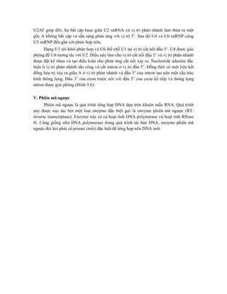 Giáo trình sinh học phân tử.pdf