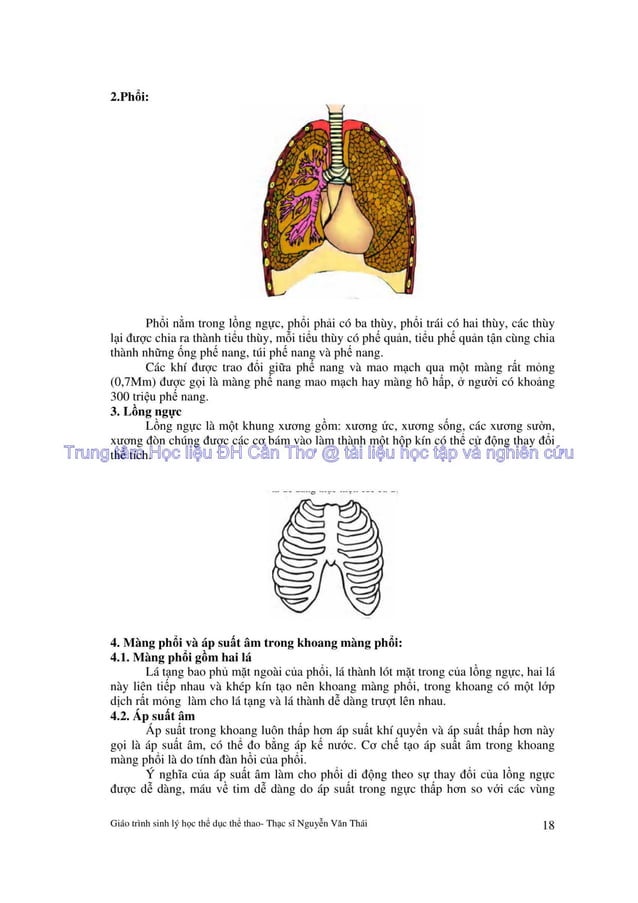 Giáo trình sinh lý học thể dục thể thao.pdf