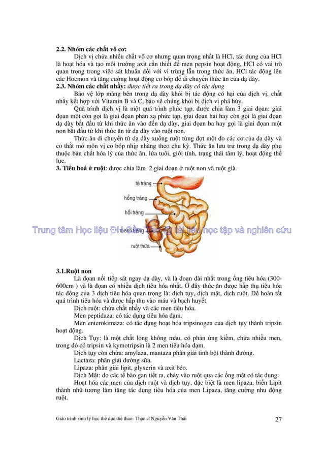 Giáo trình sinh lý học thể dục thể thao.pdf