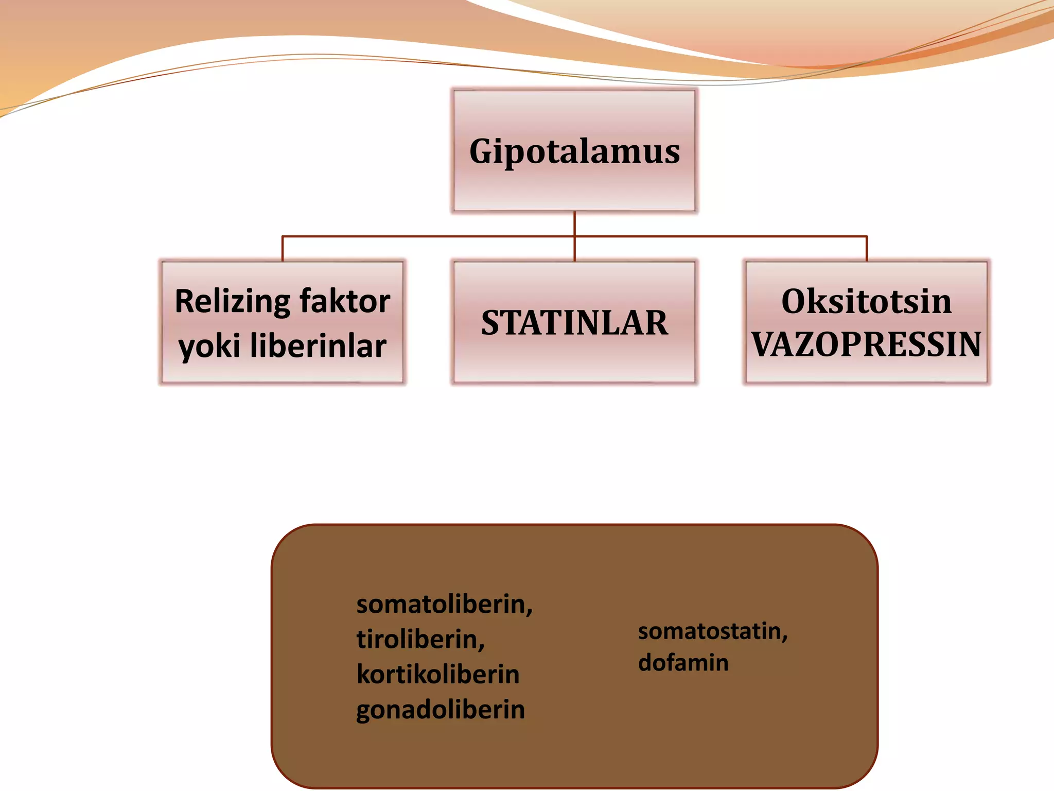 Gipatalamo gipofizar tizim kasalliklari.ppt