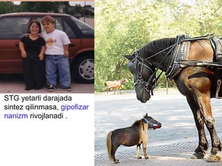 Gipatalamo gipofizar tizim kasalliklari.ppt