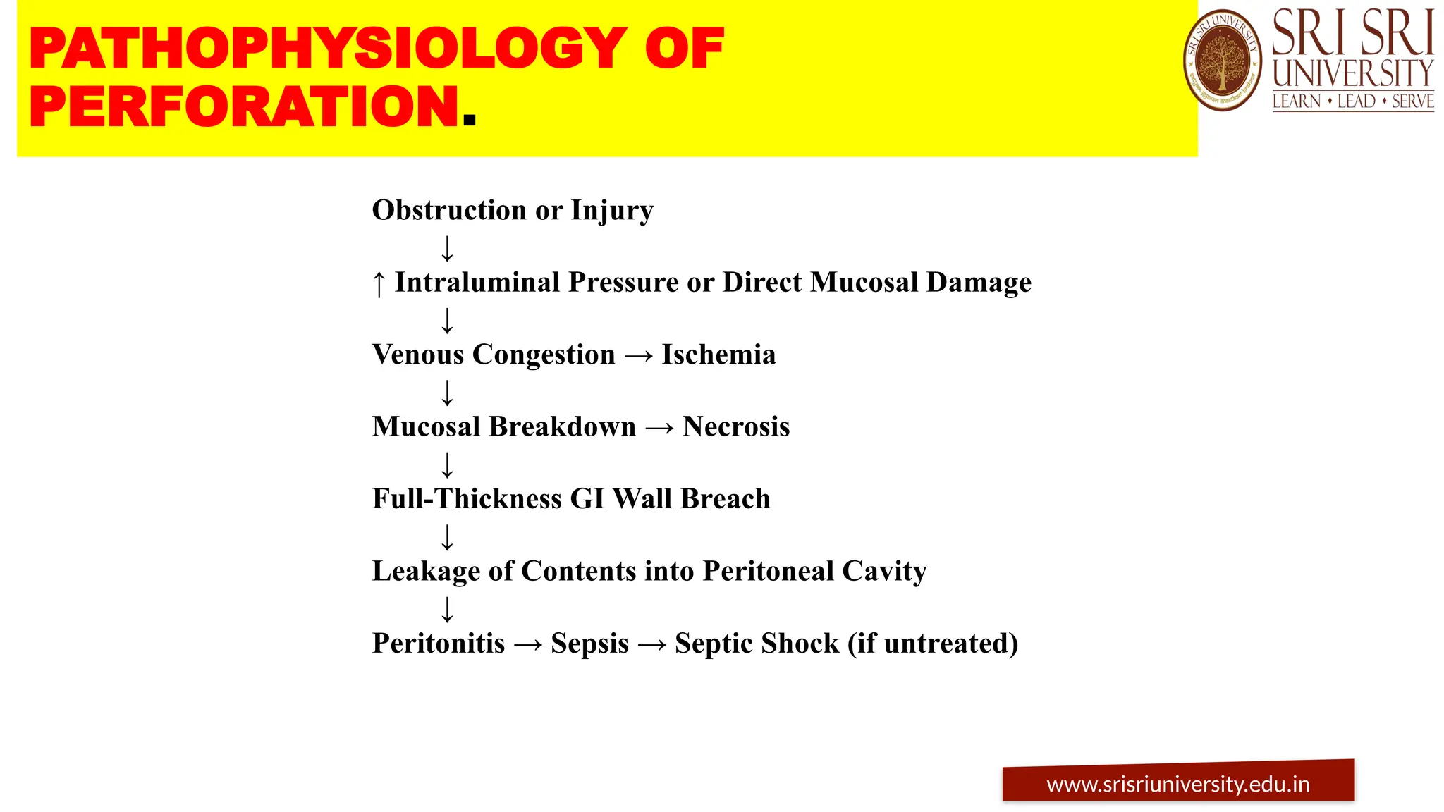 GASTROINTESTINAL PERFORATION & PERITONITIS.pptx