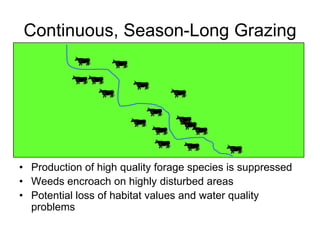 Grazing Improvement Program Grazing Principles | PPT