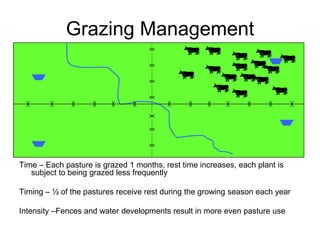 Grazing Improvement Program Grazing Principles | PPT