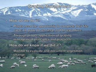 Grazing Improvement Program Grazing Principles | PPT