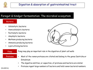 physiology of digestive system and metabolism | PDF