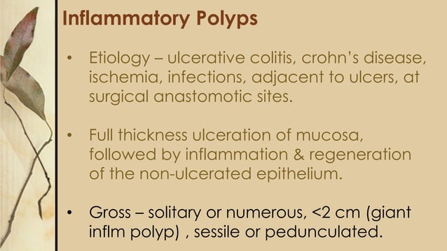 Gi polyps | PDF