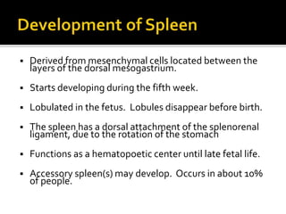 GI presentation embryo | PPT