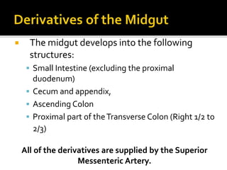 GI presentation embryo | PPT